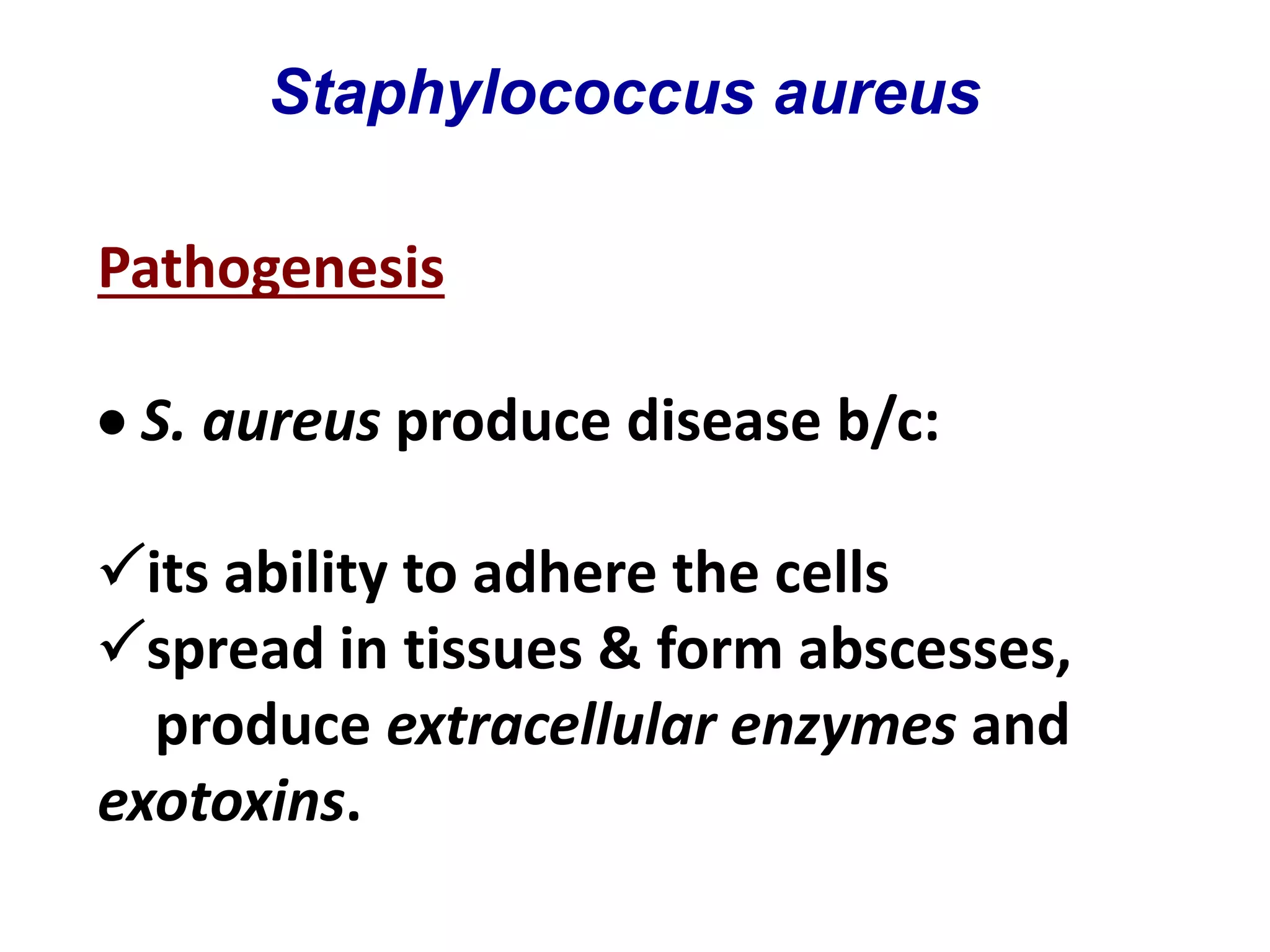 staphylococcus and streptococcus | PPTX | Infectious Diseases ...