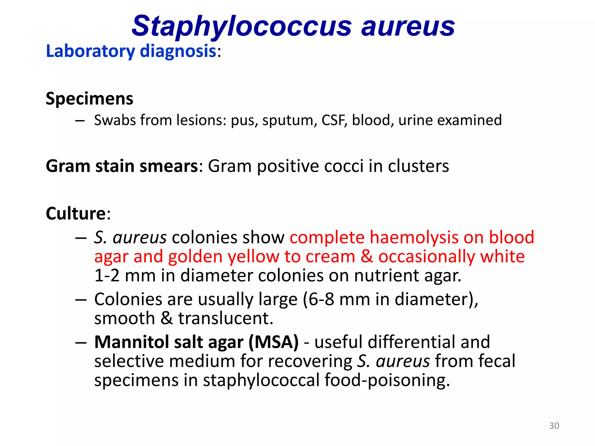 staphylococcus and streptococcus | PPTX | Infectious Diseases ...