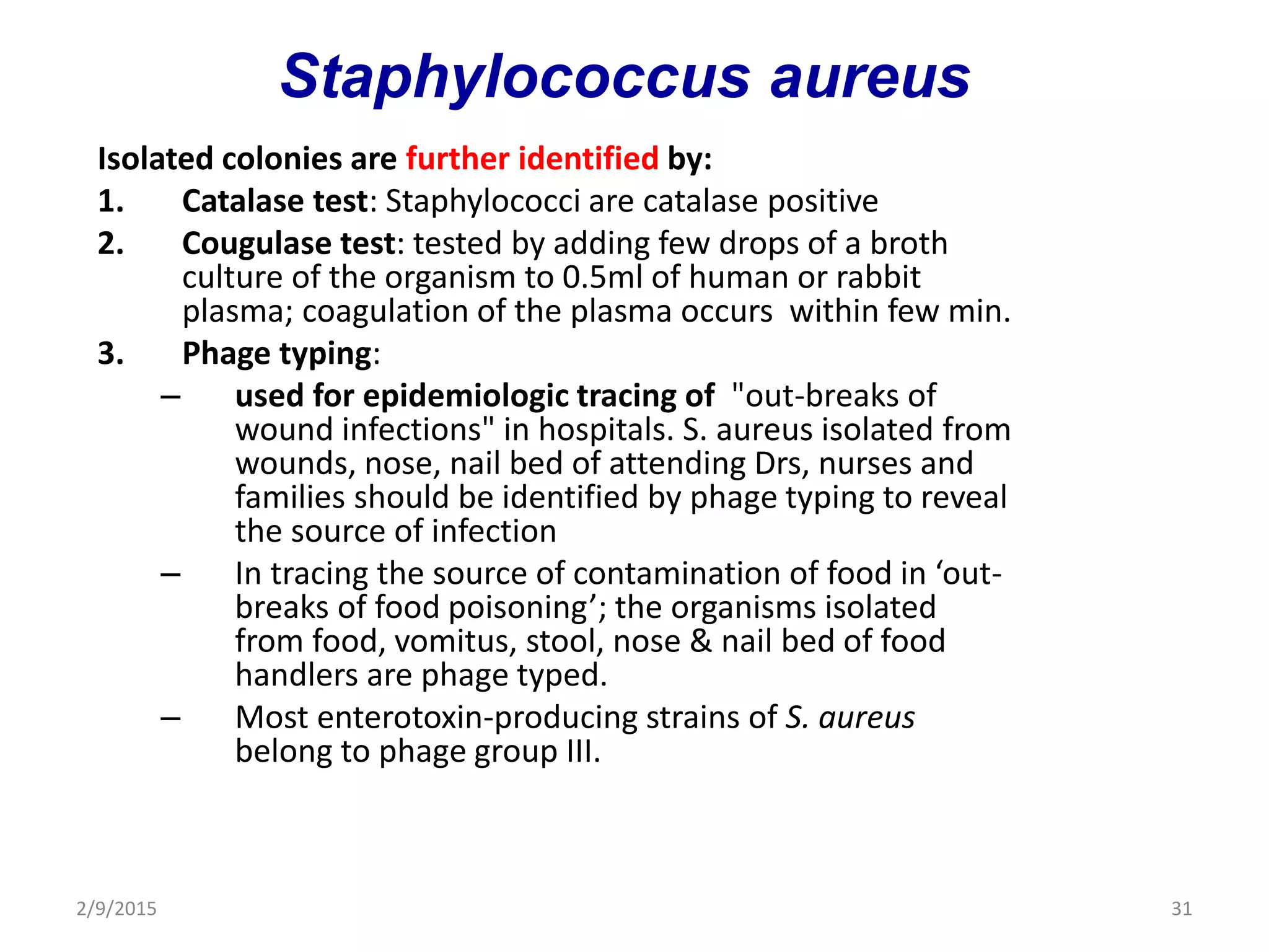 Staphylococcus And Streptococcus Pptx Infectious Diseases Diseases And Conditions