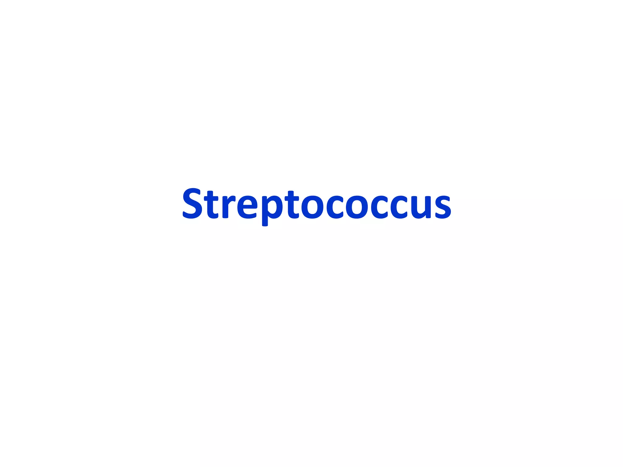 staphylococcus and streptococcus | PPTX