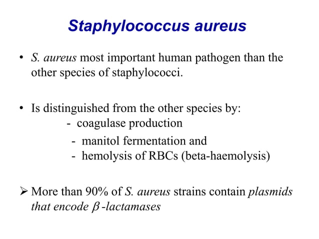 staphylococcus and streptococcus | PPTX | Infectious Diseases | Diseases and Conditions
