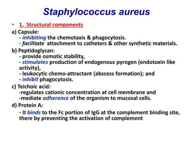 staphylococcus and streptococcus | PPTX | Infectious Diseases | Diseases and Conditions