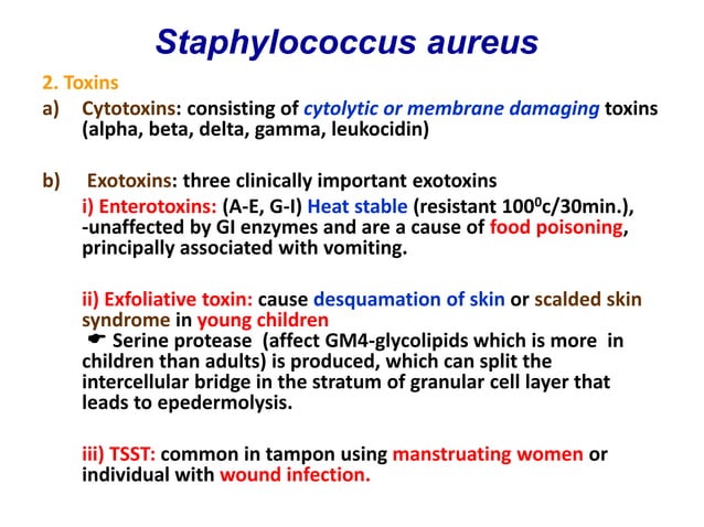 staphylococcus and streptococcus | PPTX | Infectious Diseases | Diseases and Conditions
