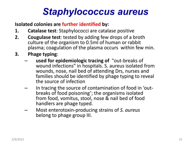 staphylococcus and streptococcus | PPTX | Infectious Diseases | Diseases and Conditions
