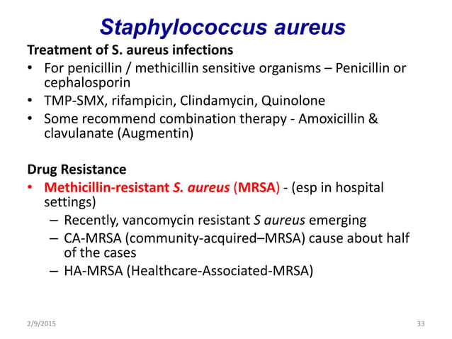 staphylococcus and streptococcus | PPTX | Infectious Diseases ...