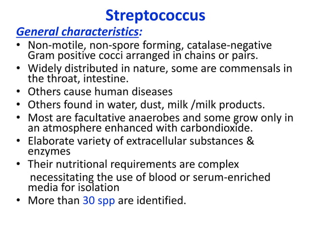 staphylococcus and streptococcus | PPTX | Infectious Diseases ...