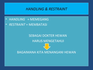 handling & restraint | PPT