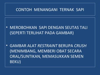 handling & restraint | PPT