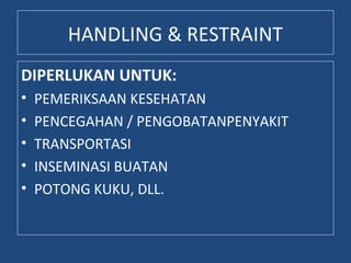 handling & restraint | PPT