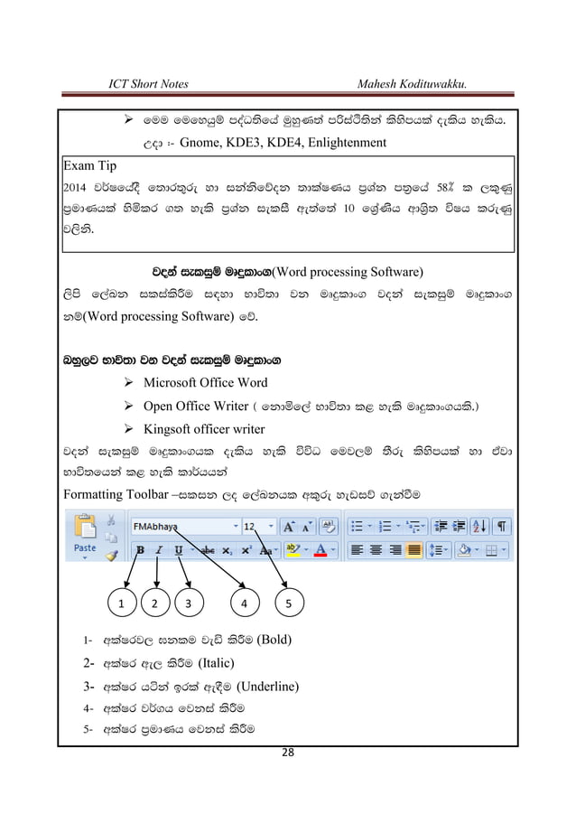 Grade 10 ICT Short Notes in Sinhala(2015) | PDF