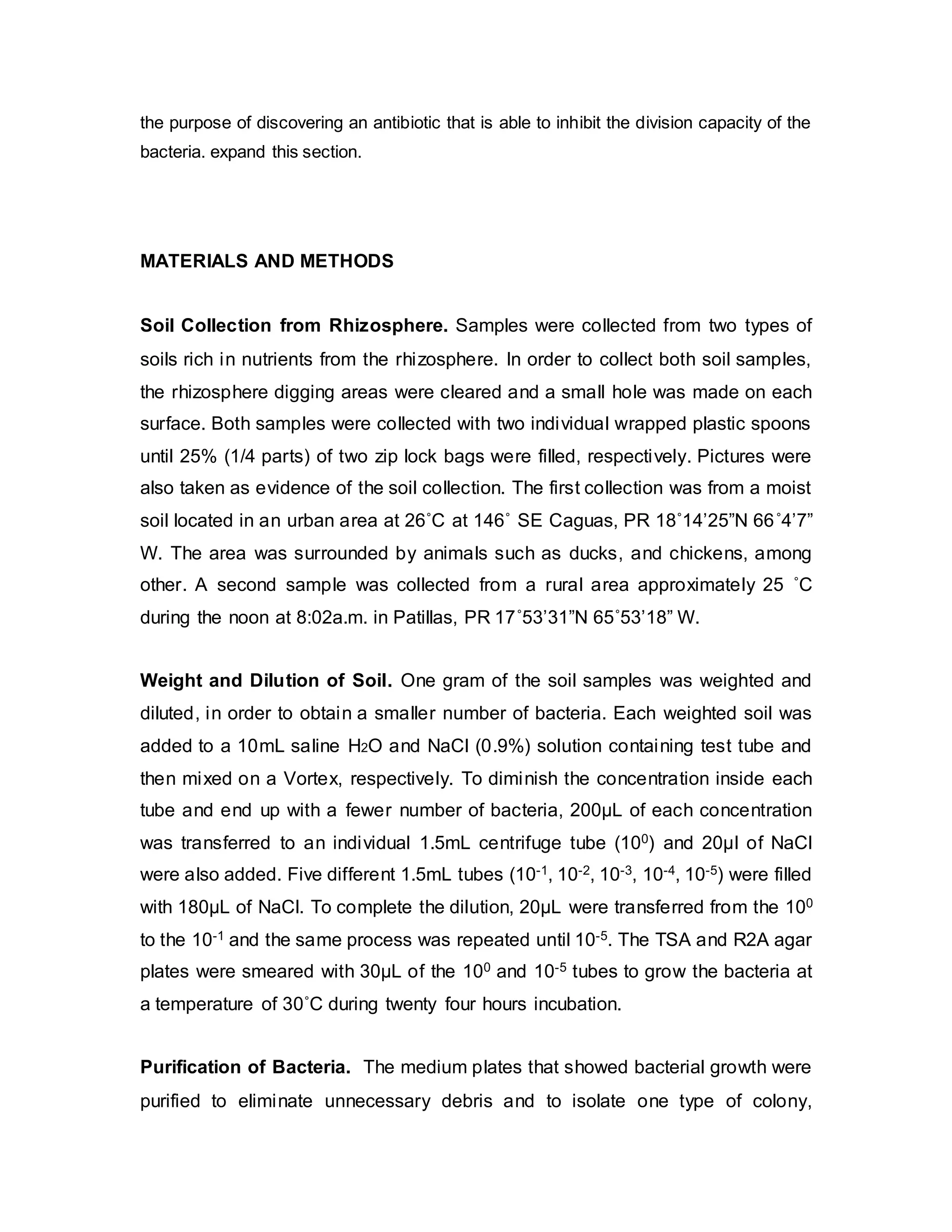 Bacteria Report | DOCX