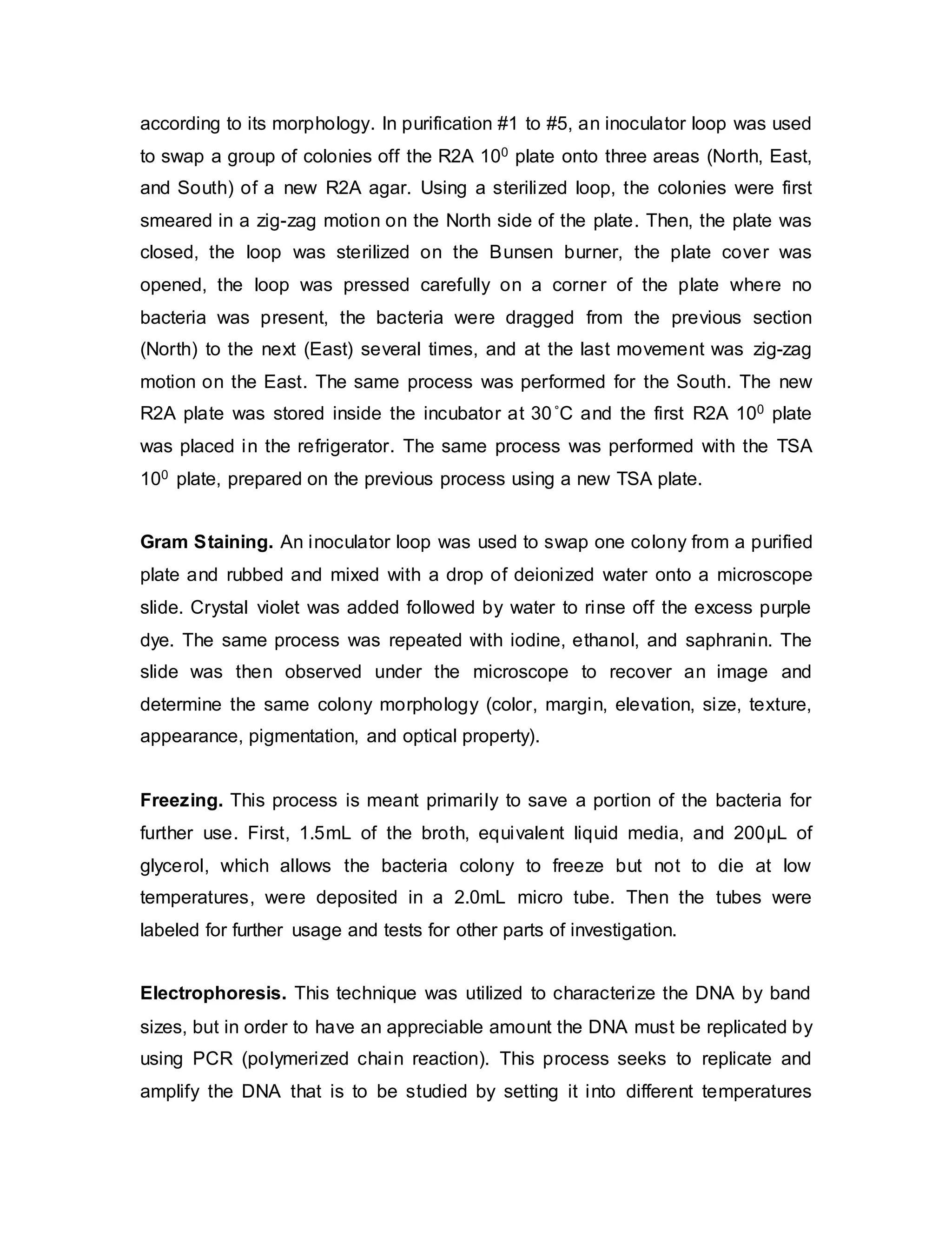 Bacteria Report | DOCX