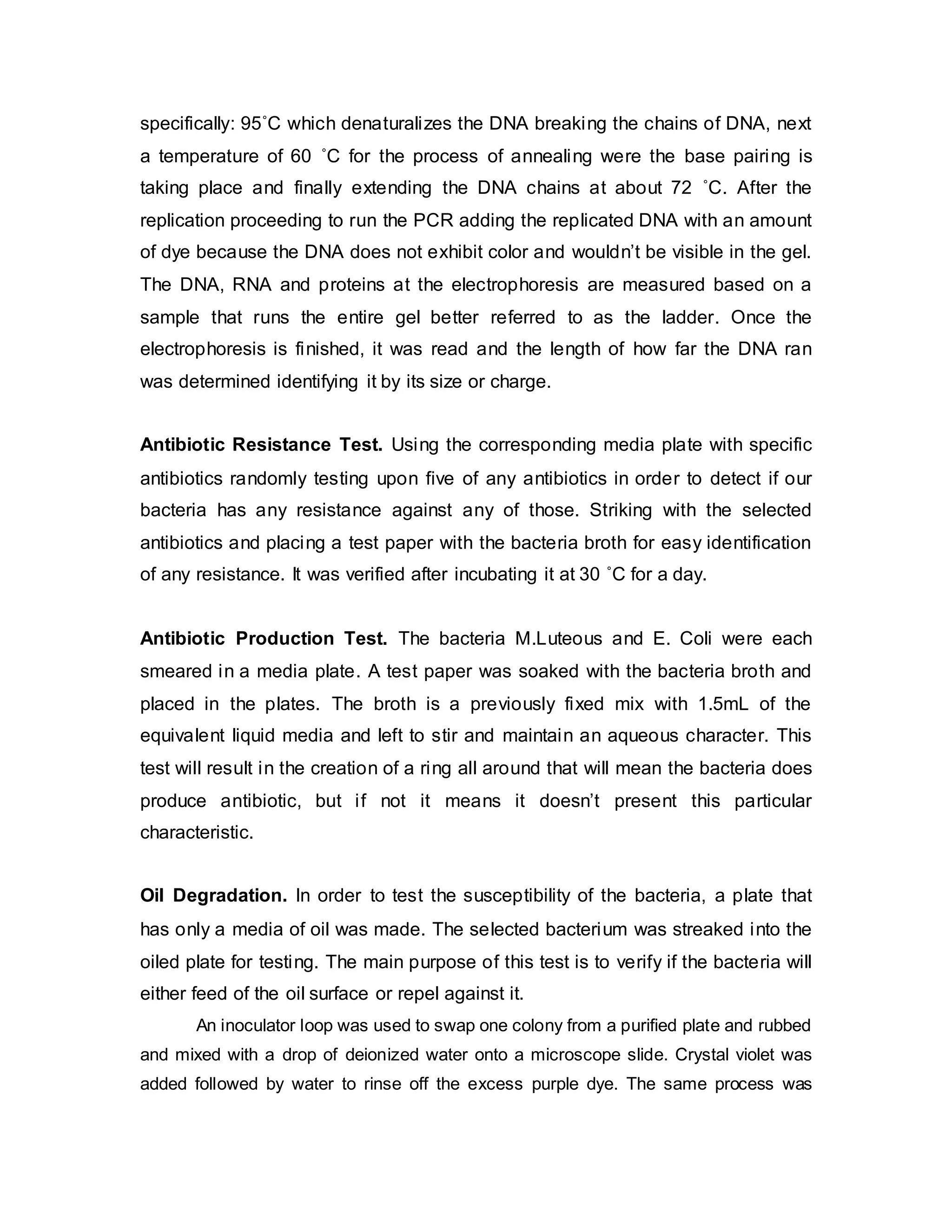 Bacteria Report | DOCX