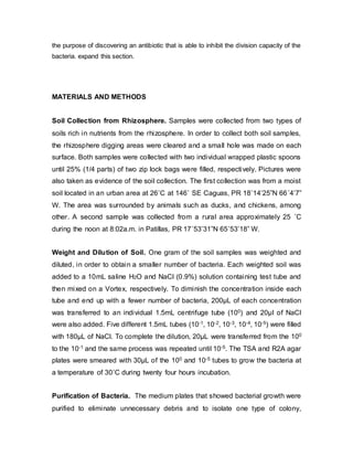 Bacteria Report | DOCX