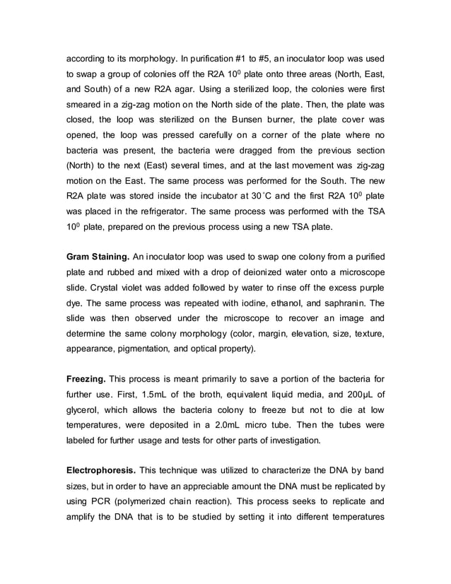 Bacteria Report | PDF