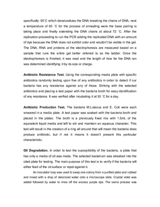 Bacteria Report | DOCX