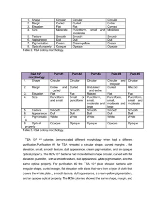 Bacteria Report | PDF