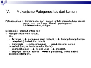 10.faktor2 yang mempengaruhi terjadinya penyakit infeksi | PPT