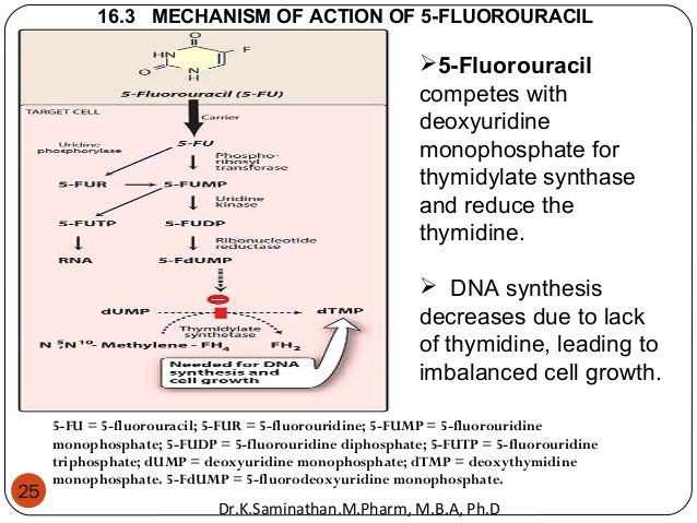 10.ANTICANCER DRUGS