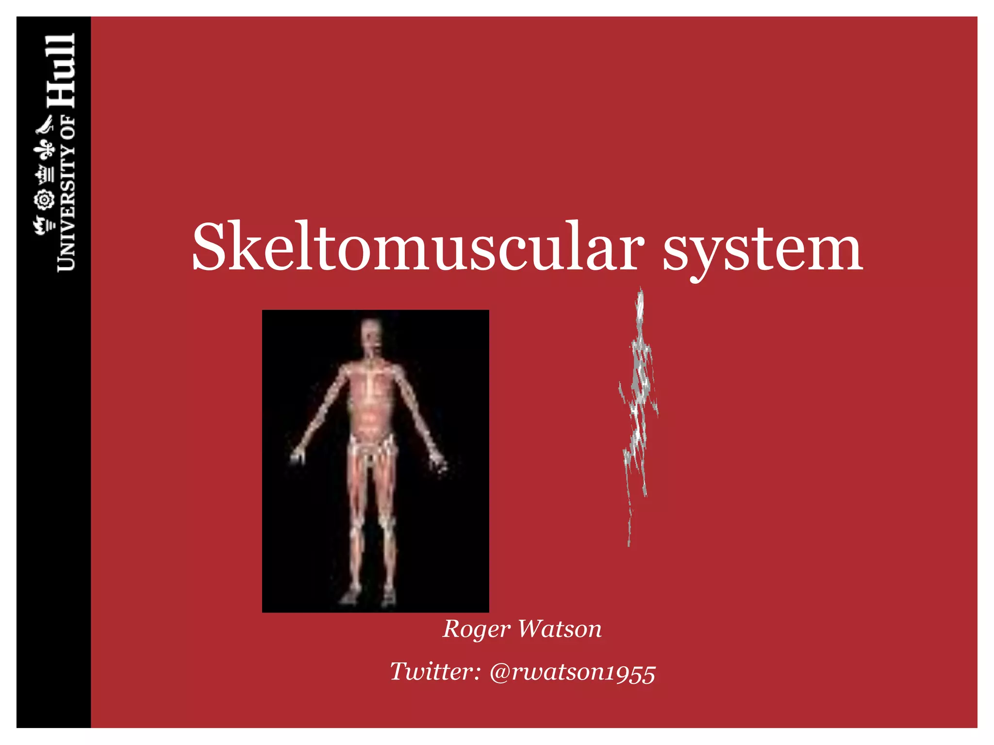 Skeletomuscular system | PPTX