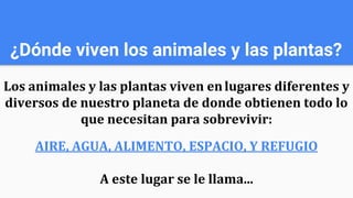 10.21 los animales y su hábitat | PPTX