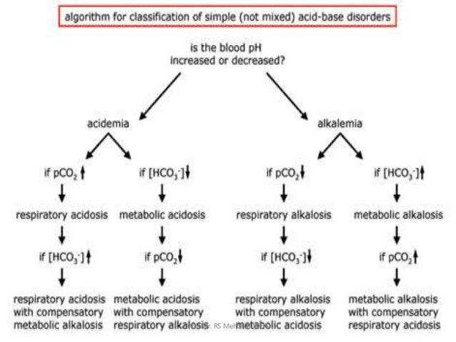 10. abg analysis