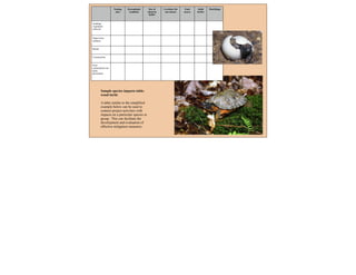 Natural Resources Inventory | PDF
