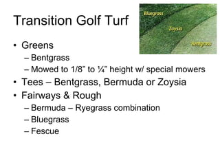 10 15 Sports Turf1 | PPT