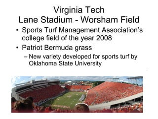 10 15 Sports Turf1 | PPT