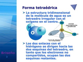 10.agua estructura | PPTX