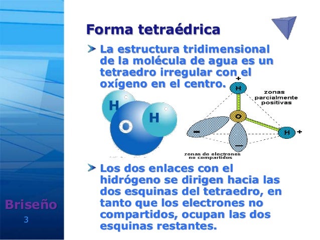 10.agua estructura