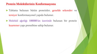10. proteinler 3 | PPTX