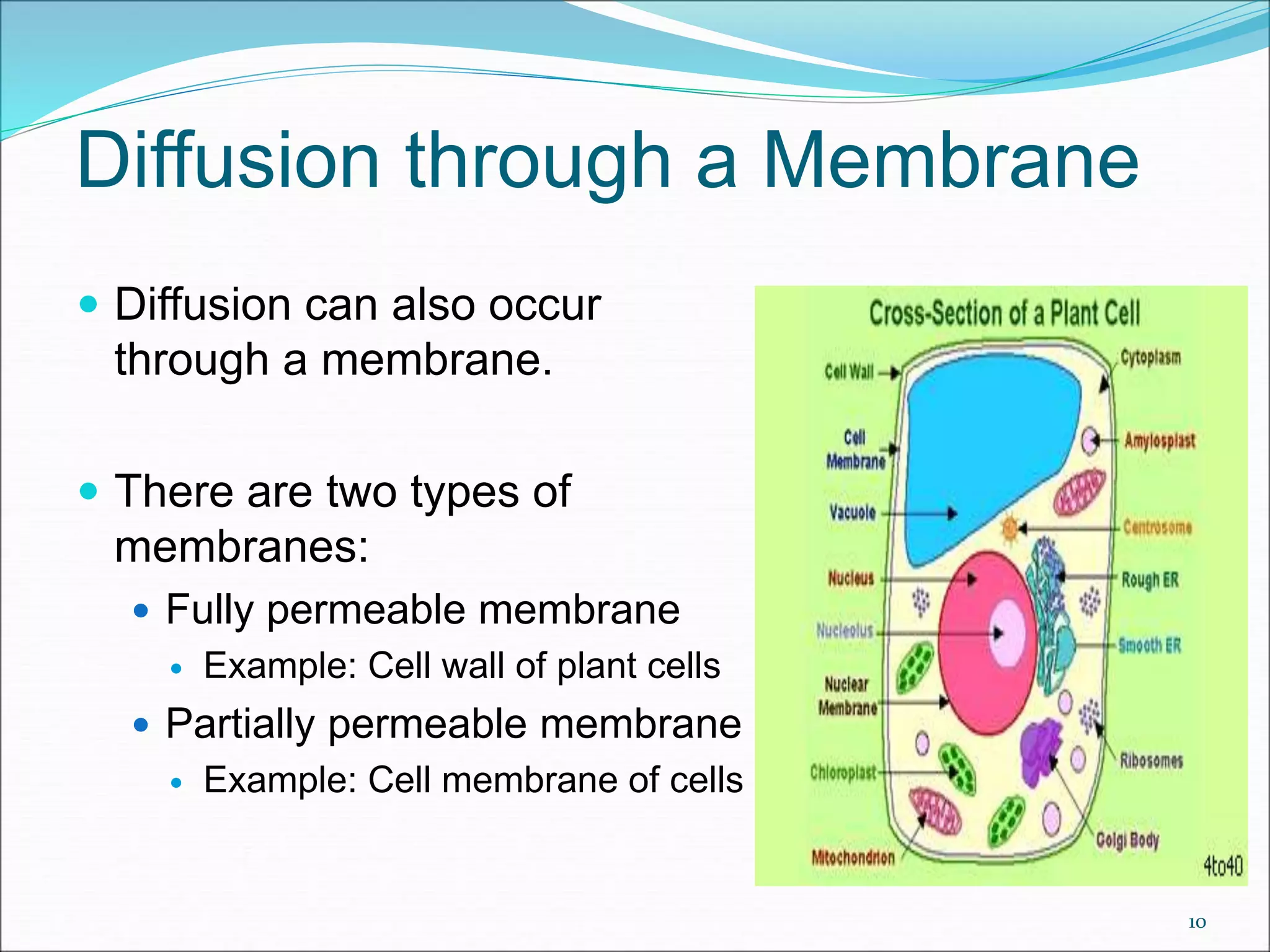 10. Transport System in Organisms E-learning - Diffusion & Osmosis | PPTX