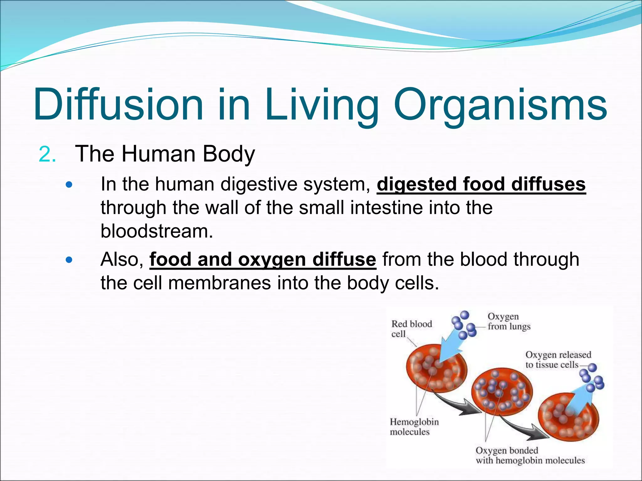 10. Transport System in Organisms E-learning - Diffusion & Osmosis | PPTX