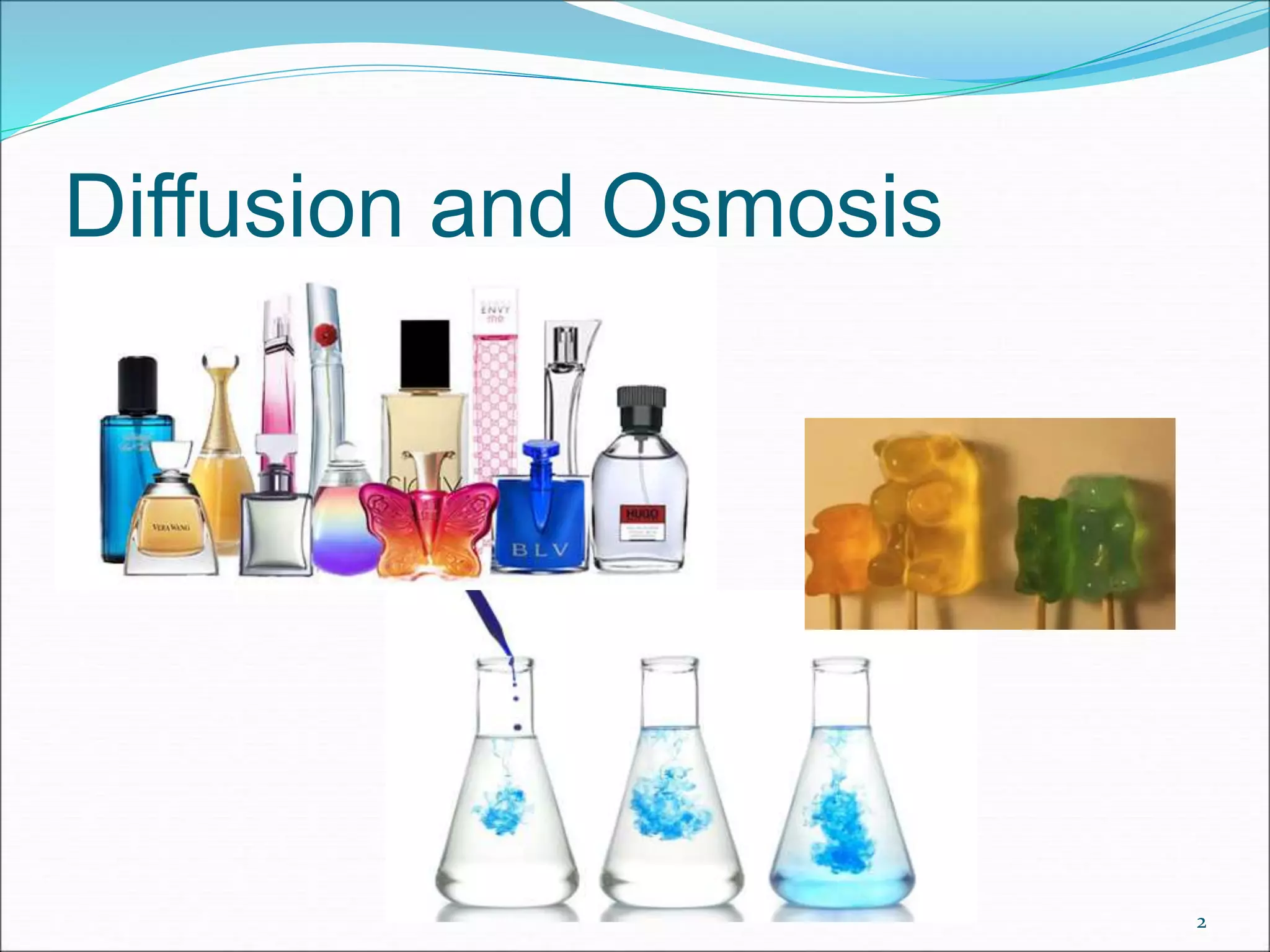 10. Transport System in Organisms E-learning - Diffusion & Osmosis | PPTX