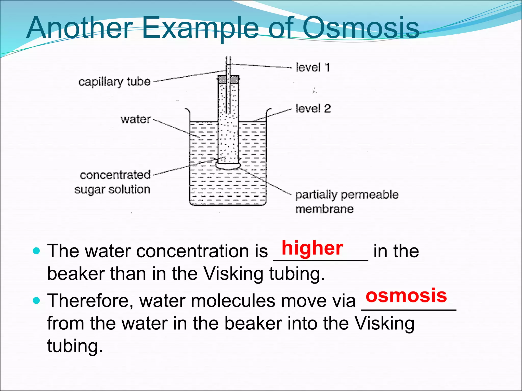 10. Transport System in Organisms E-learning - Diffusion & Osmosis | PPTX