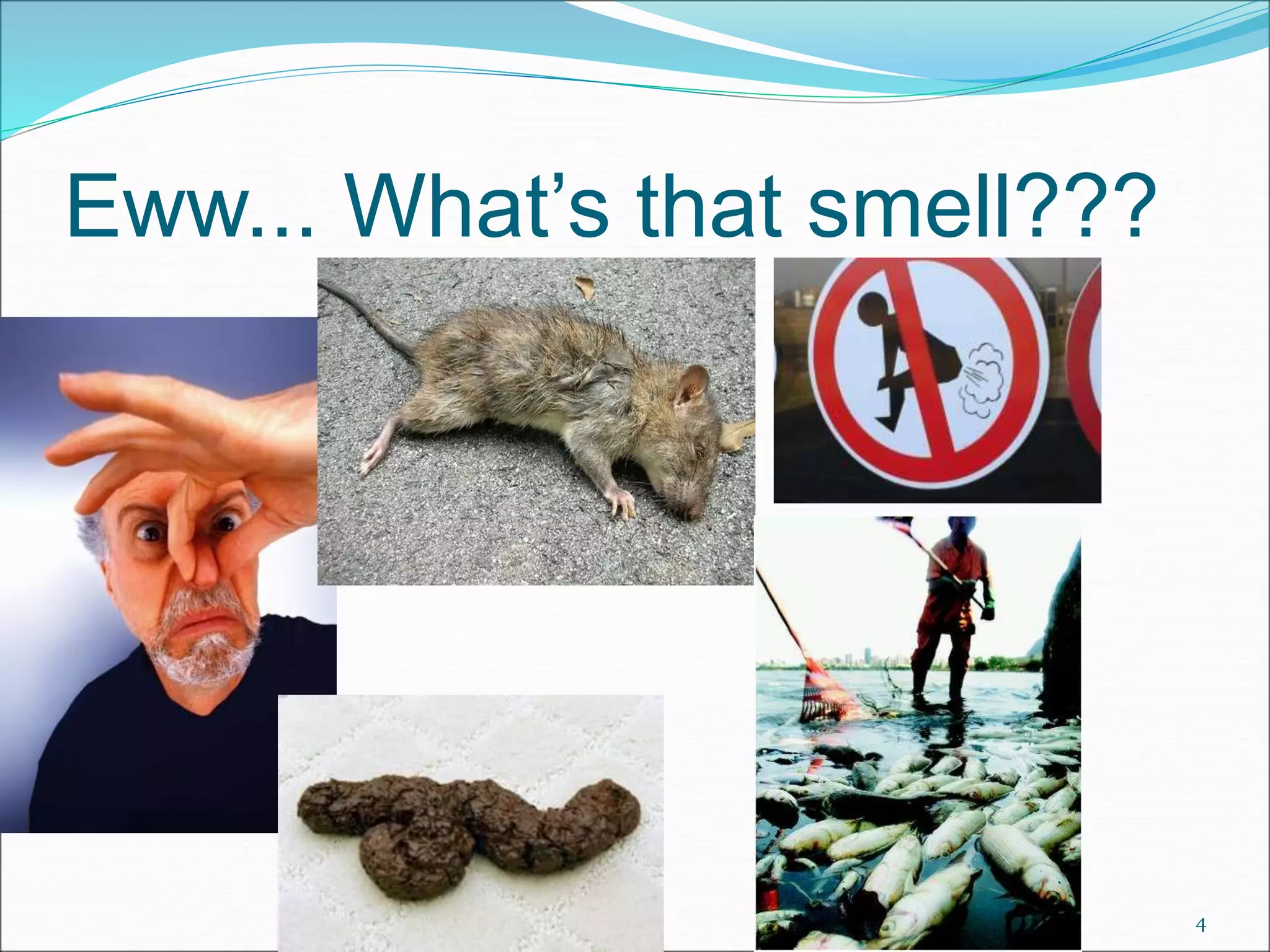 10. Transport System in Organisms E-learning - Diffusion & Osmosis | PPTX