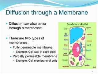 10. Transport System in Organisms E-learning - Diffusion & Osmosis | PPTX