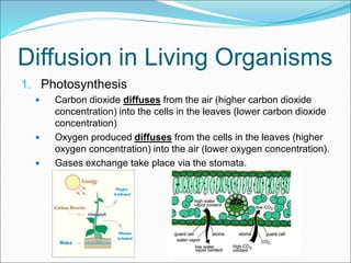 10. Transport System in Organisms E-learning - Diffusion & Osmosis | PPTX