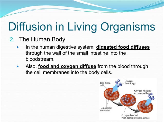 10. Transport System in Organisms E-learning - Diffusion & Osmosis ...