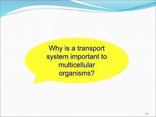 10. Transport System in Organisms E-learning - Diffusion & Osmosis | PPTX