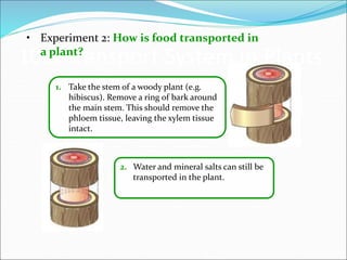 10. Transport System in Organisms E-learning - Diffusion & Osmosis | PPTX