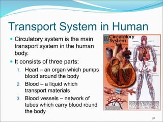 10. Transport System in Organisms E-learning - Diffusion & Osmosis | PPTX
