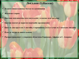 10. Ljiljani, sasevi, trave | PPT
