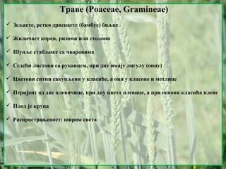 10. Ljiljani, sasevi, trave | PPT
