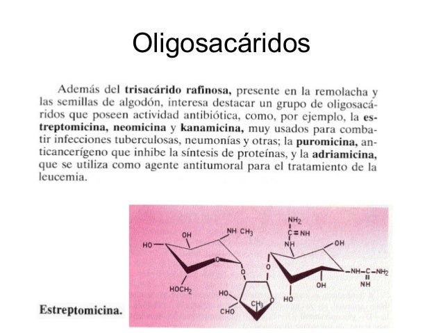 10. carbohidratos II