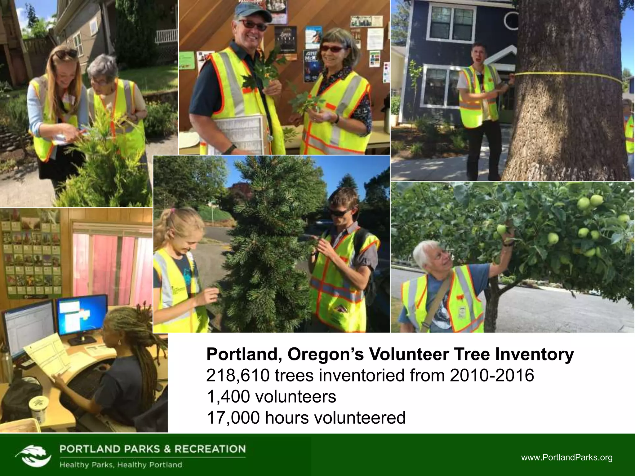 Life After Tree Inventory Inspiring Community Stewardship- Angie Di ...