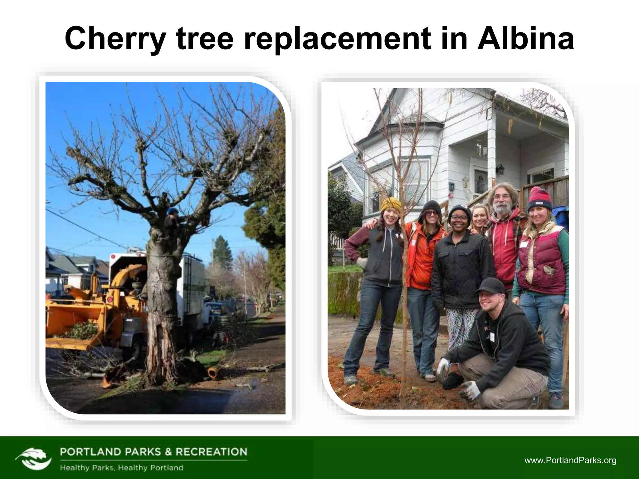Life After Tree Inventory Inspiring Community Stewardship- Angie Di ...