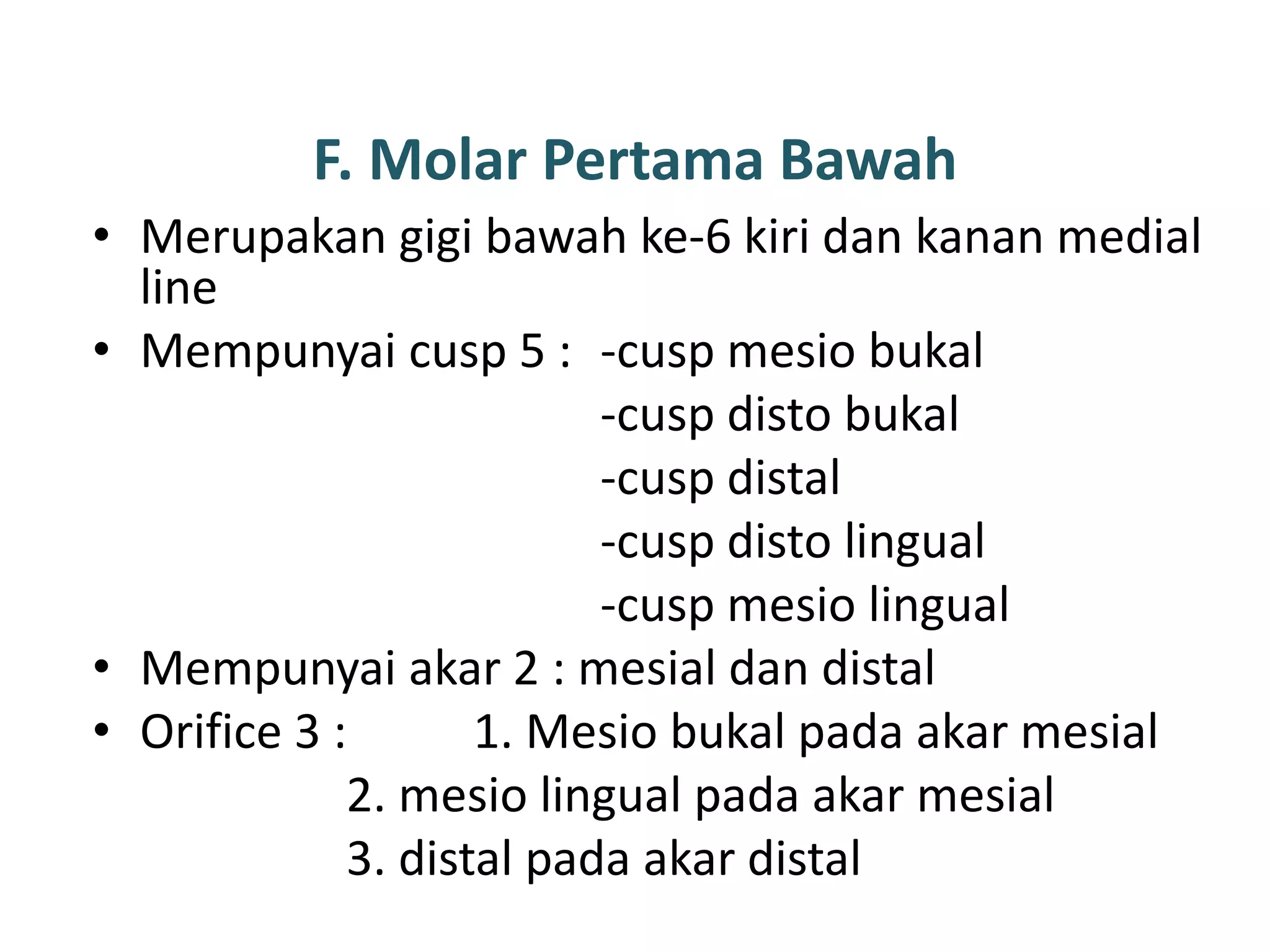 10. morfologi gigi permanent rahang bawah | PPTX