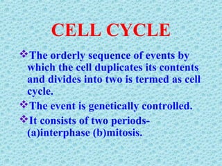 Cell cycle and cell division | PPT